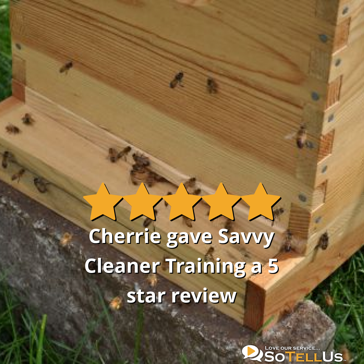 Cherrie R gave Savvy Cleaner a 5 star review on SoTellUs