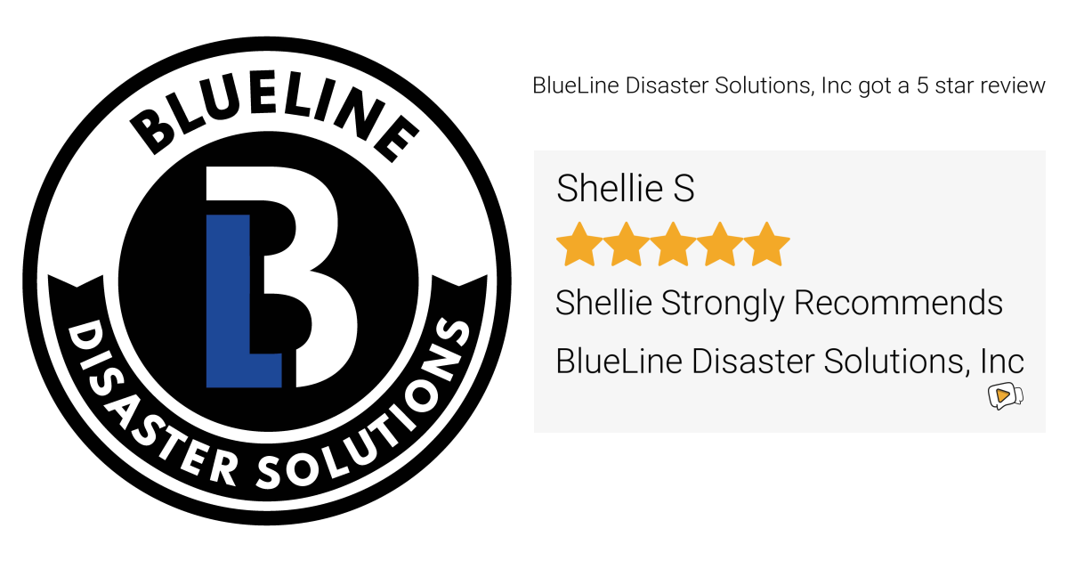 Shellie Stearns left a 5-star review