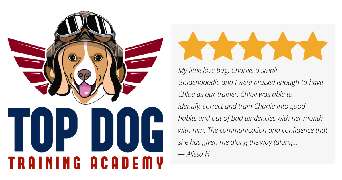 Alissa H gave TOP DOG TRAINING ACADEMY a 5 star review on SoTellUs